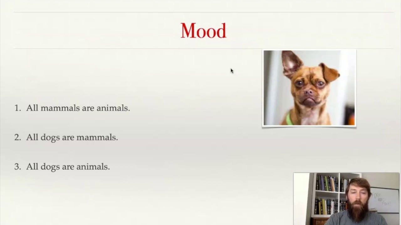 Categorical Syllogisms: Form, Mood, and Figure - YouTube