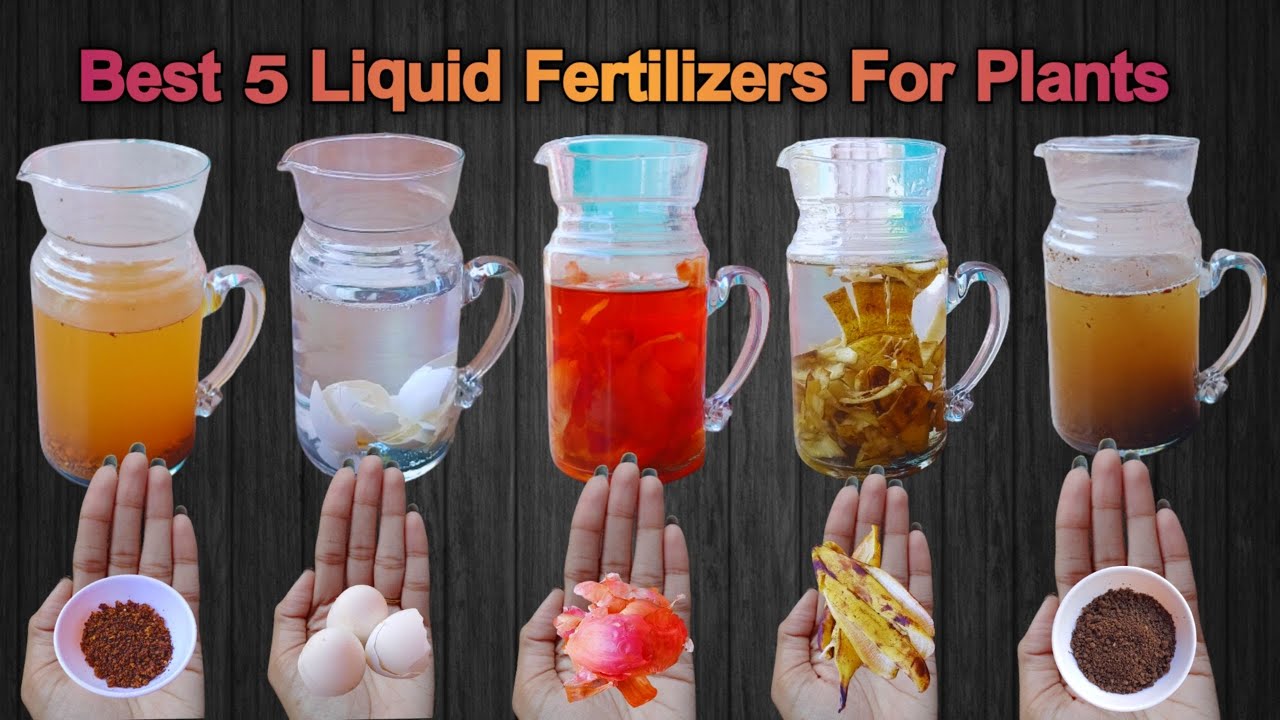 Best 5 Organic Liquid Fertilizers For Plants | Top 5 Liquid Fertilizers ...