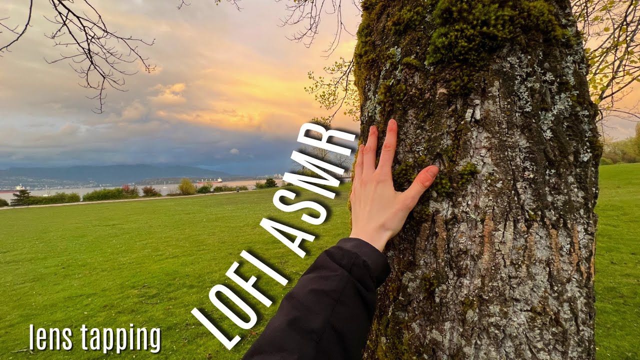 lofi OUTDOOR asmr | lens tapping, finger tracing, nature, tingly ...