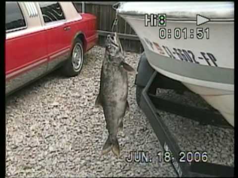 LAKE TROUT! 32 inches 15 lbs. - YouTube