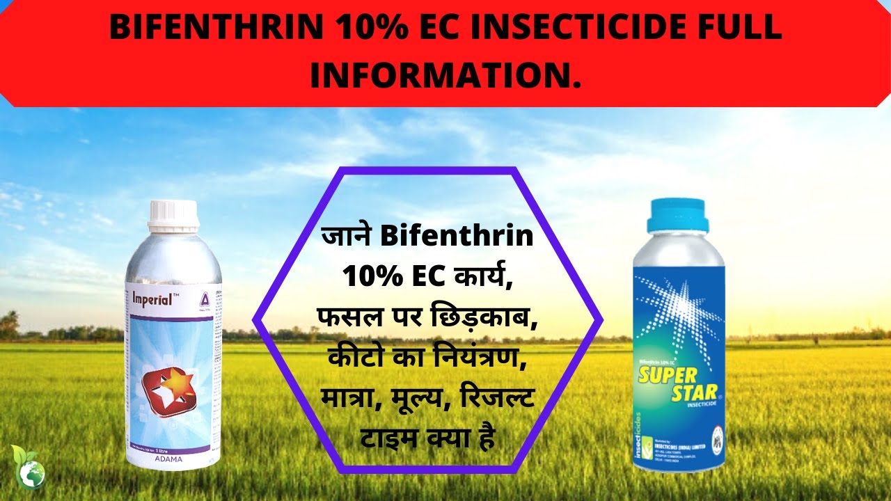 Bifenthrin 10% EC(बीफेनथ्रिन) INSECTICIDE की पूरी जानकारी । KHETIKI ...