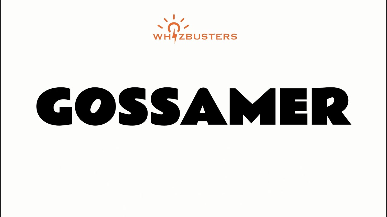 GOSSAMER (adjective) Meaning with Examples in Sentences | GRE GMAT LSAT ...