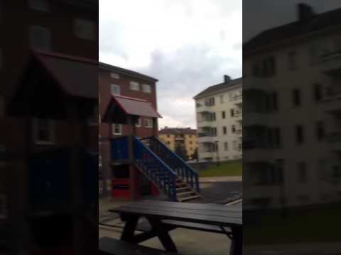 Sur melk