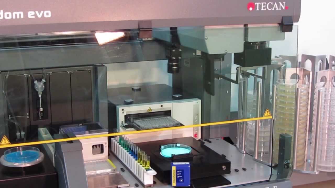 MALDI-TOF sample preparation on Pickolo - YouTube
