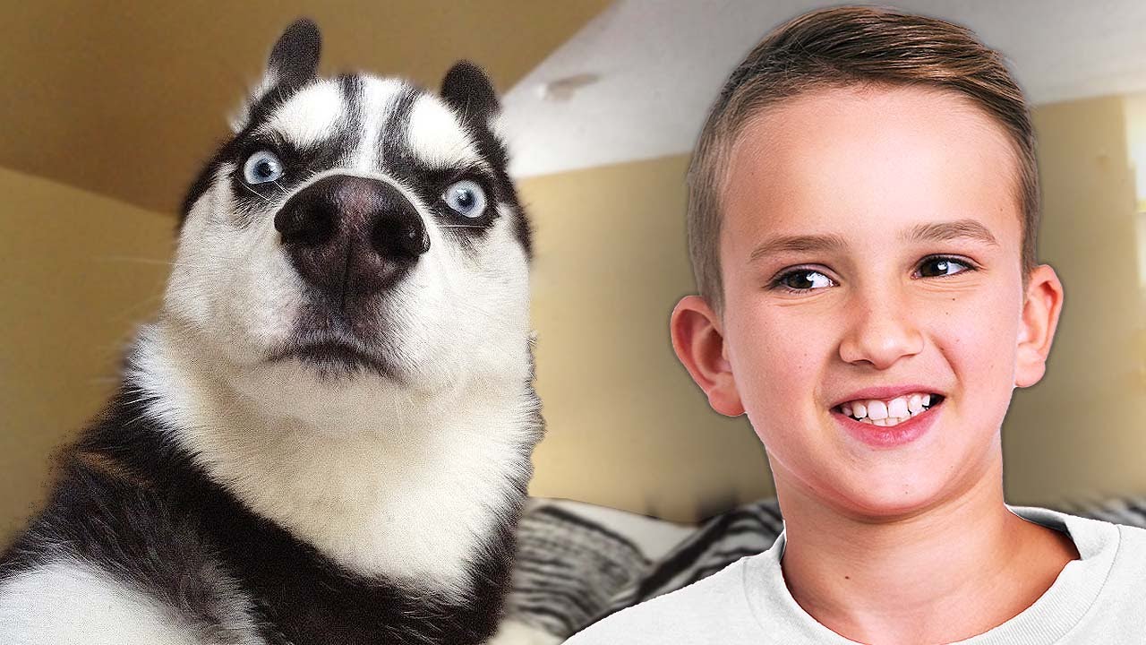 TRY NOT TO LAUGH CHALLENGE from VLAD! - YouTube