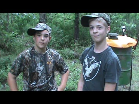 How to Bait in Hogs - YouTube