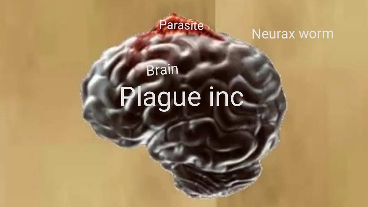 How Neurax Worm Begins (Plague inc) | Animation - YouTube