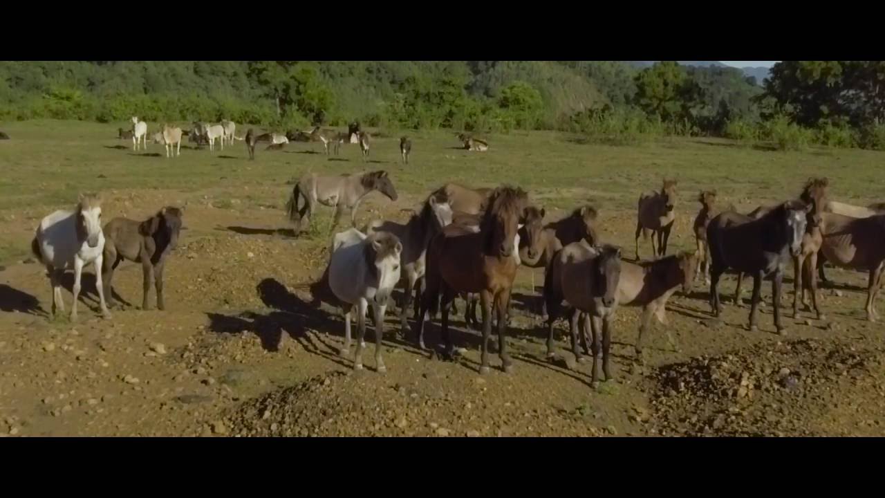 Lepanto Mining 80th Anniversary - Our Home - YouTube