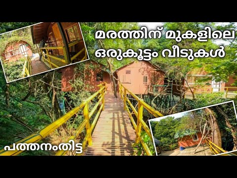 Forest stay in Adavi eco tourism. Tree Top Bamboo Hut. Forest Dept ...