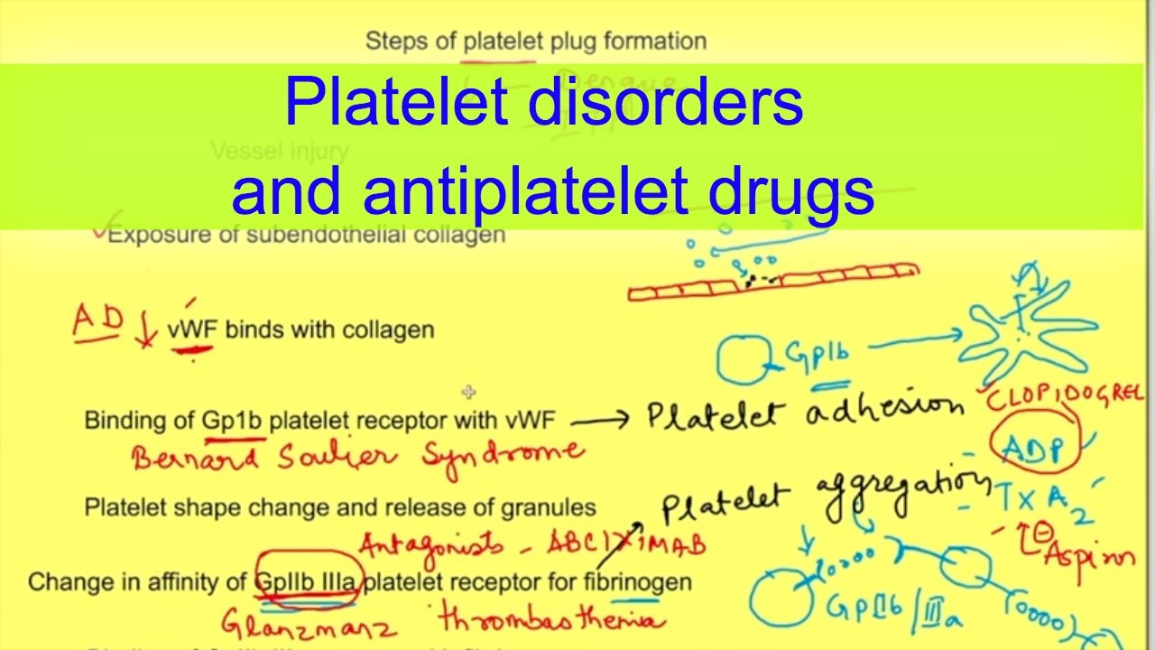 Mechanism of antiplatelet drugs | Hematology | Blood Physiology ...