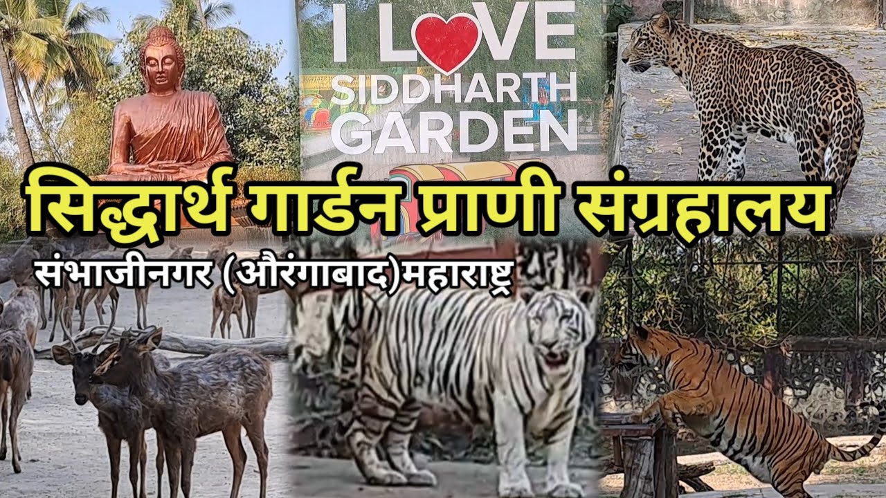 Siddharth Garden & Zoo |Best Place to Visit in aurangabad ĺ|most famous ...