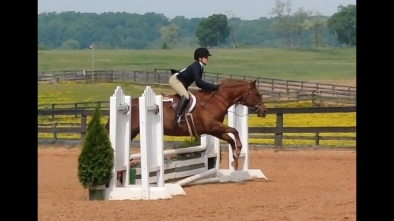 My first Horse Show of the season. 05 16 2015 - YouTube