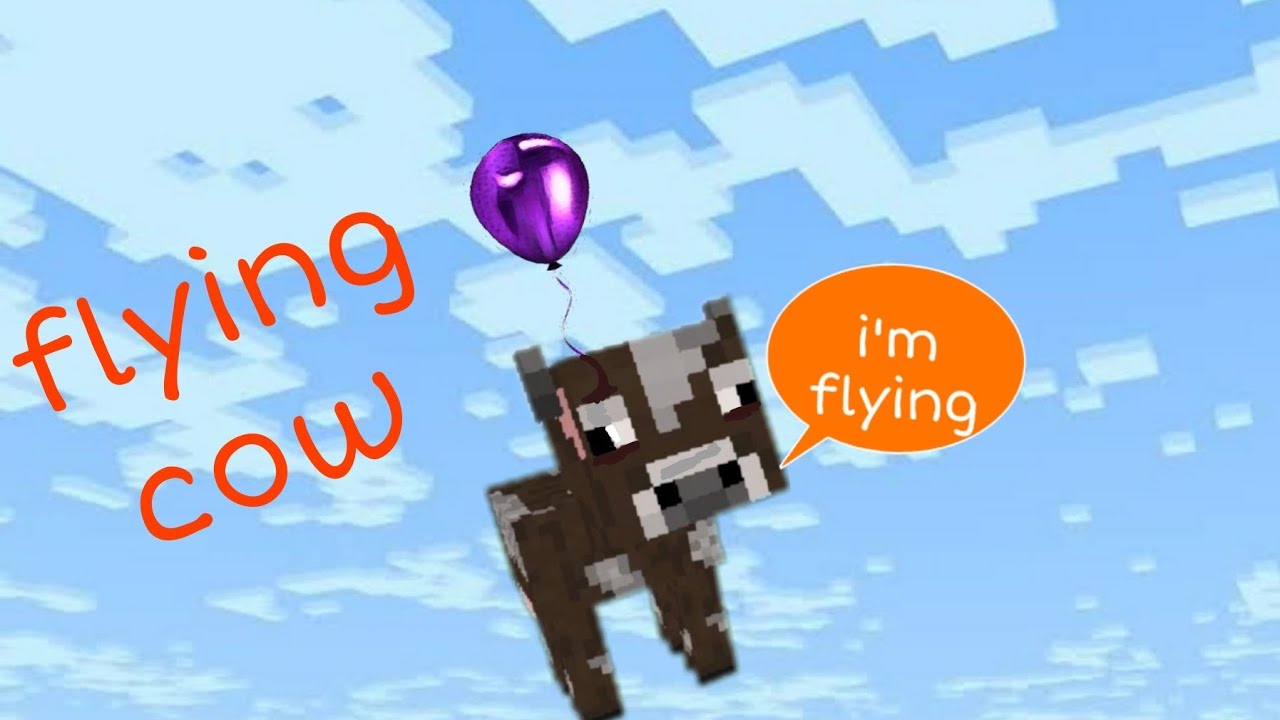 this is the time when cows fly 🐄 - YouTube