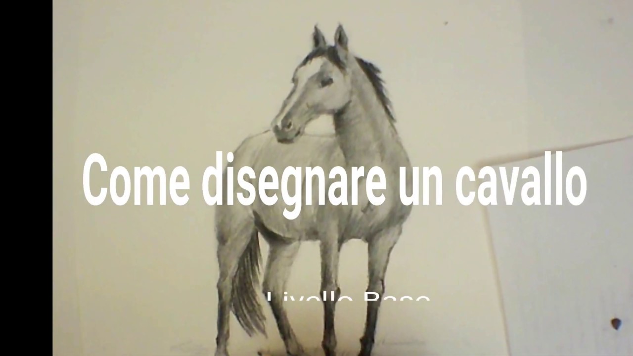 How to draw a horse step by step - come disegnare un cavallo - YouTube