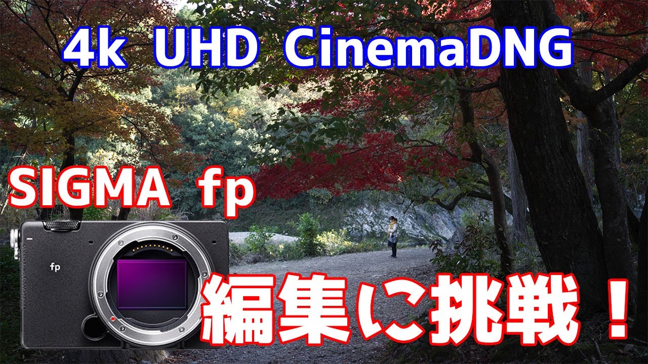 動画初心者がSIGMA fp で撮った「4K UHD CinemaDNG」を編集してみた その1 とりあえず動画の選定と音楽 動画編集 茨の道 ...
