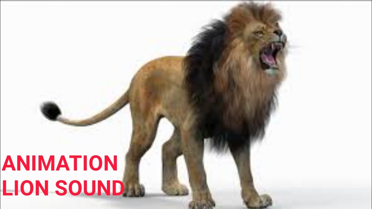 🦁🐕Lion sound effect!🦁💯 Lion sound🐕🦁 - YouTube