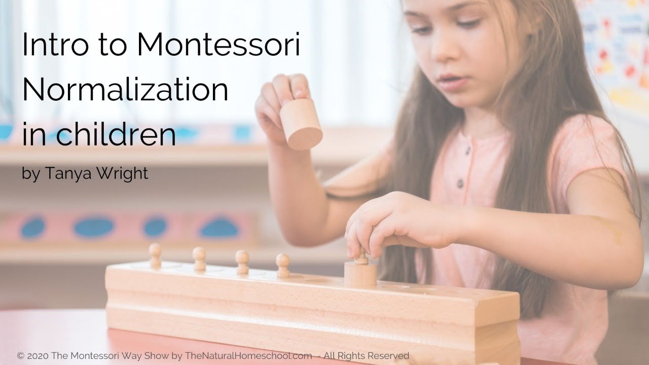 Episode 27: Intro to Montessori Normalization in Children - YouTube