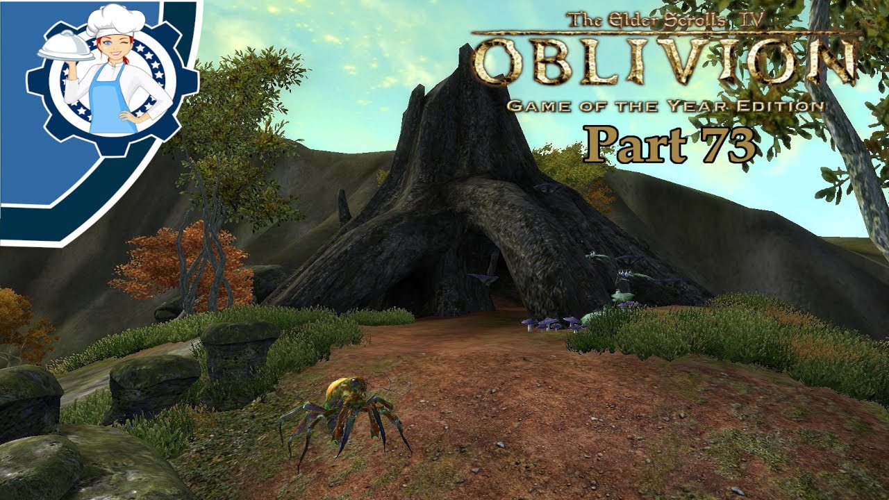 TES 4 Oblivion Part 73 Of the Adventures of Ledra - YouTube