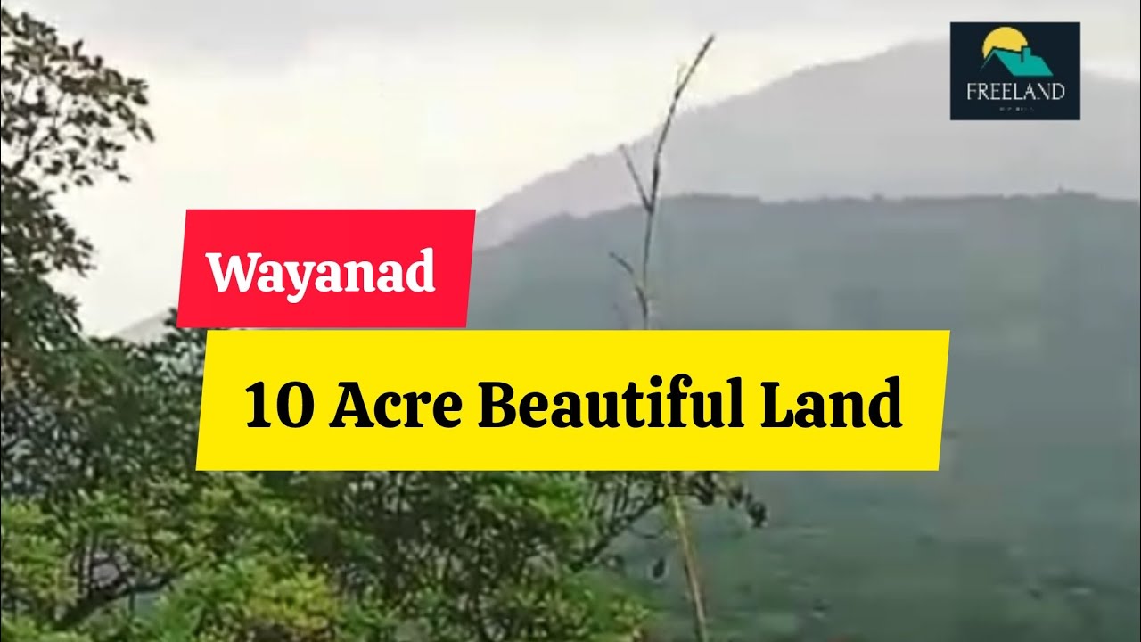 10 Acre Beautiful Resort Land For Sale | Wayanad - YouTube