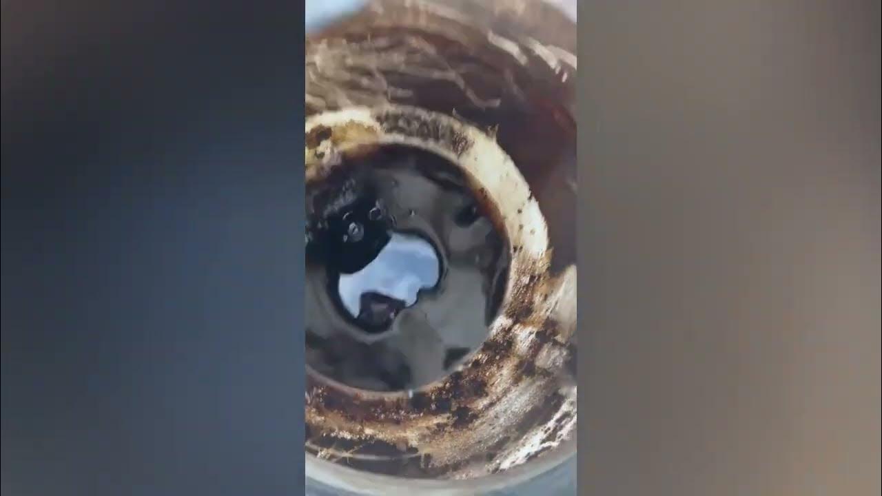 How You Can Turn SAND Into A GARDEN Paradise - CEO Jim Gale - YouTube