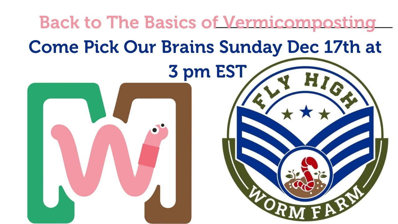 Memes Worms and Fly High Worm Farm Back to Basic Vermicomposting - YouTube