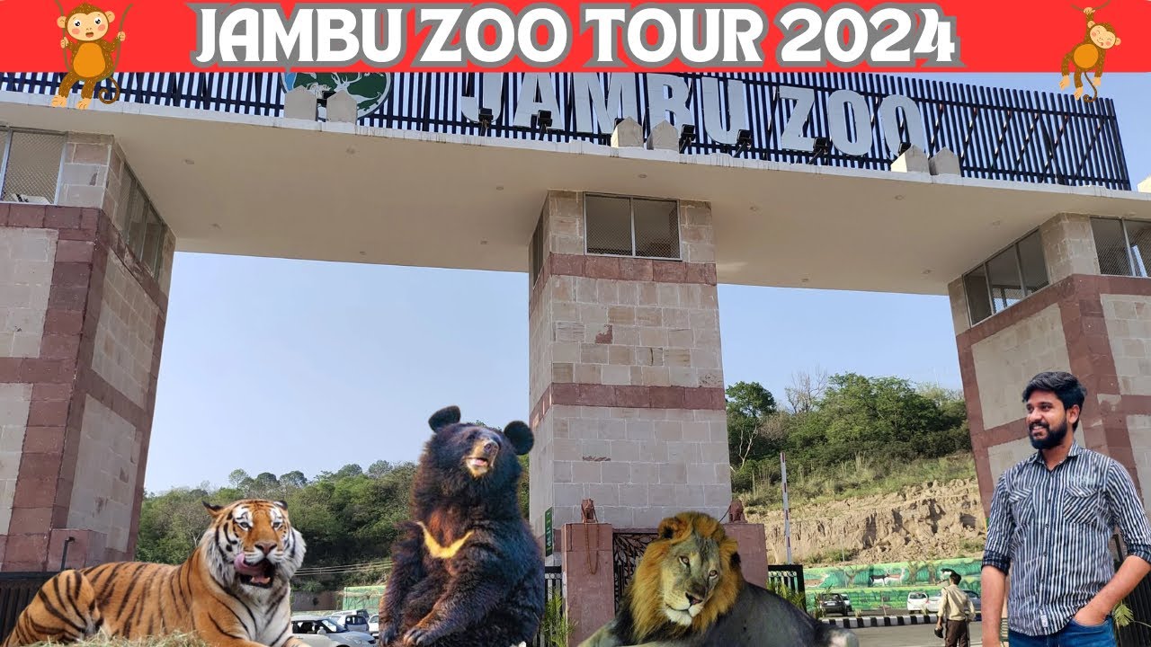 JAMBU ZOO IN JAMMU | Largest Zoo of North India | Leopard | Bears ...