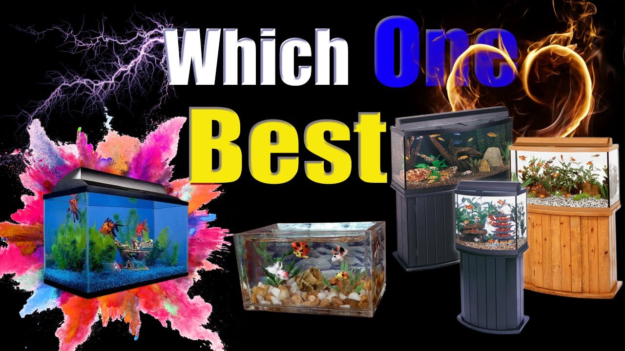 🔶Which one best Molded Aquarium & Hand Made Aquarium - YouTube