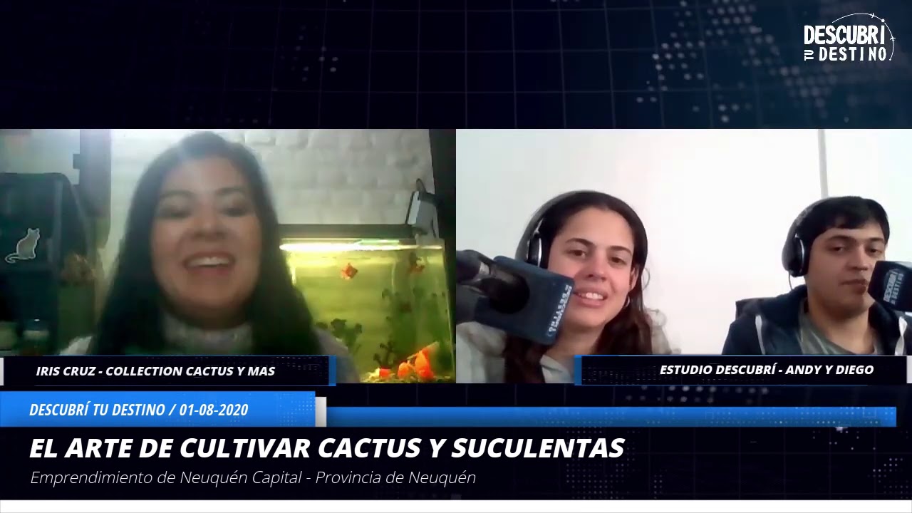 Iris Cruz - Collection cactus y mas - Neuquén - YouTube