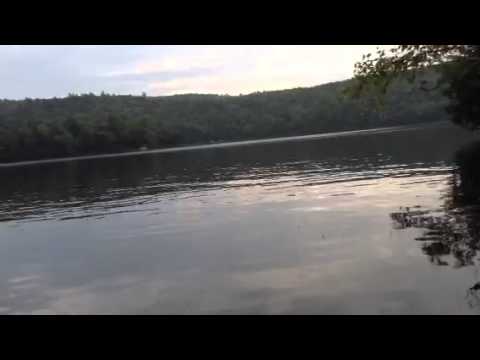 Raymond Pond - YouTube