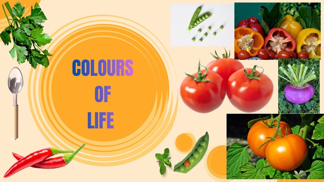 The Real Colours of Life. - YouTube