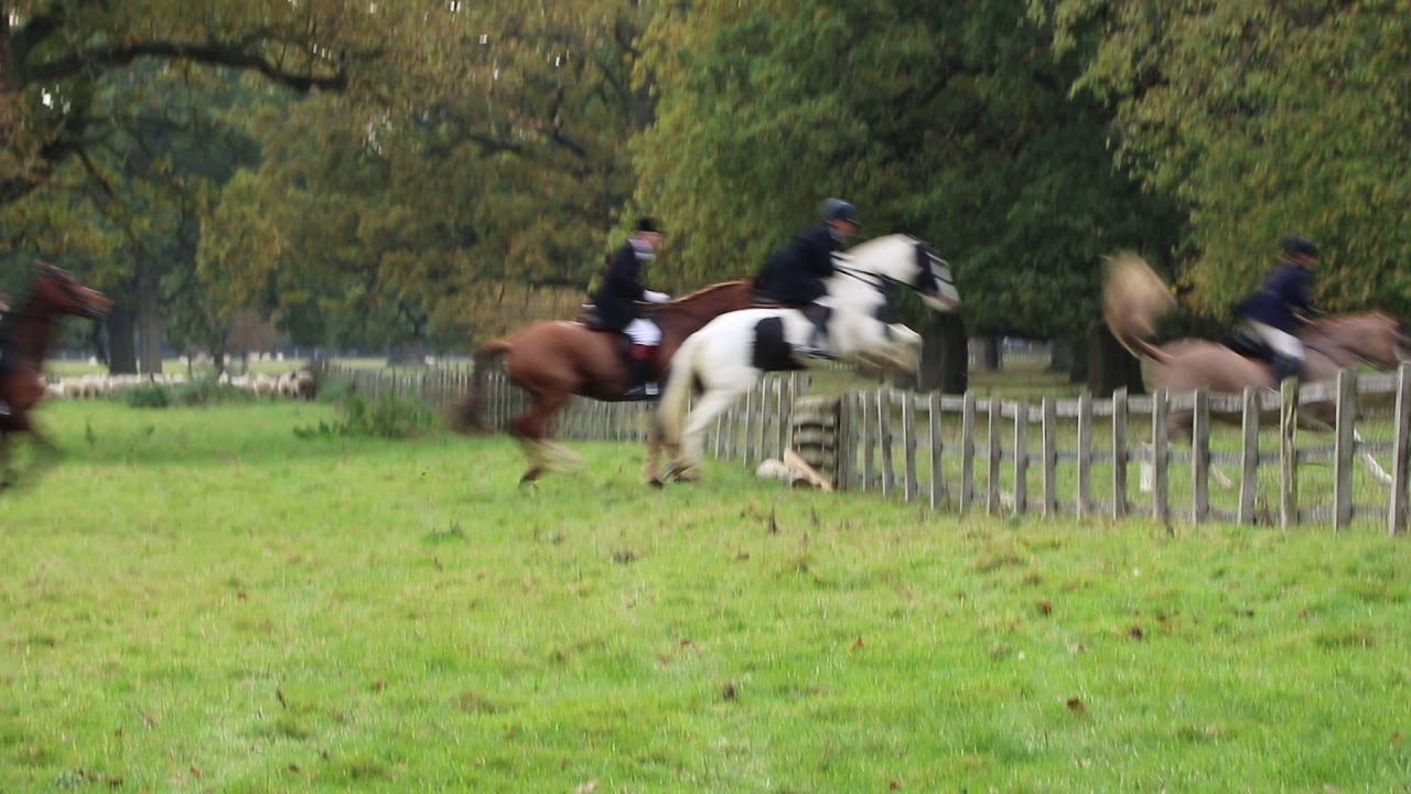 Jumping a Fence while Fox Hunting - YouTube