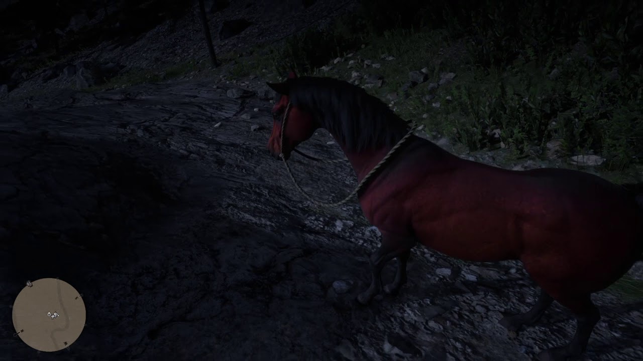 Red Dead Redemption 2 Story _ Red Chestnut Arabian Horse Location _ PS4 ...