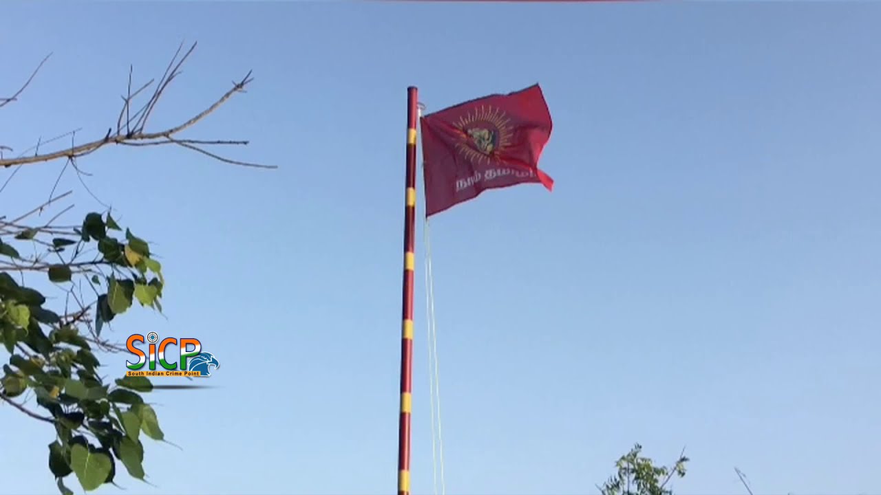 NTK Party flag hoisting ceremony | நாம் தமிழர் கட்சி கொடியேற்ற விழா ...