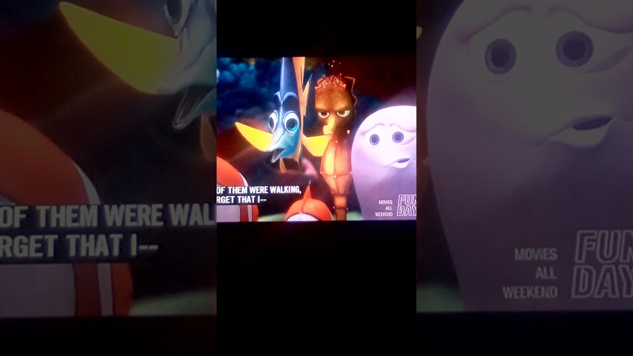 Finding Nemo sponge beds 😂😂😂 - YouTube