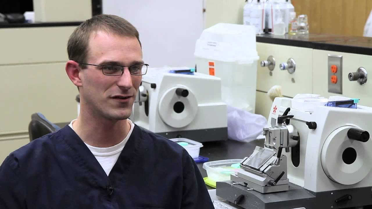 Histotechnology Program at Elgin Community College - YouTube