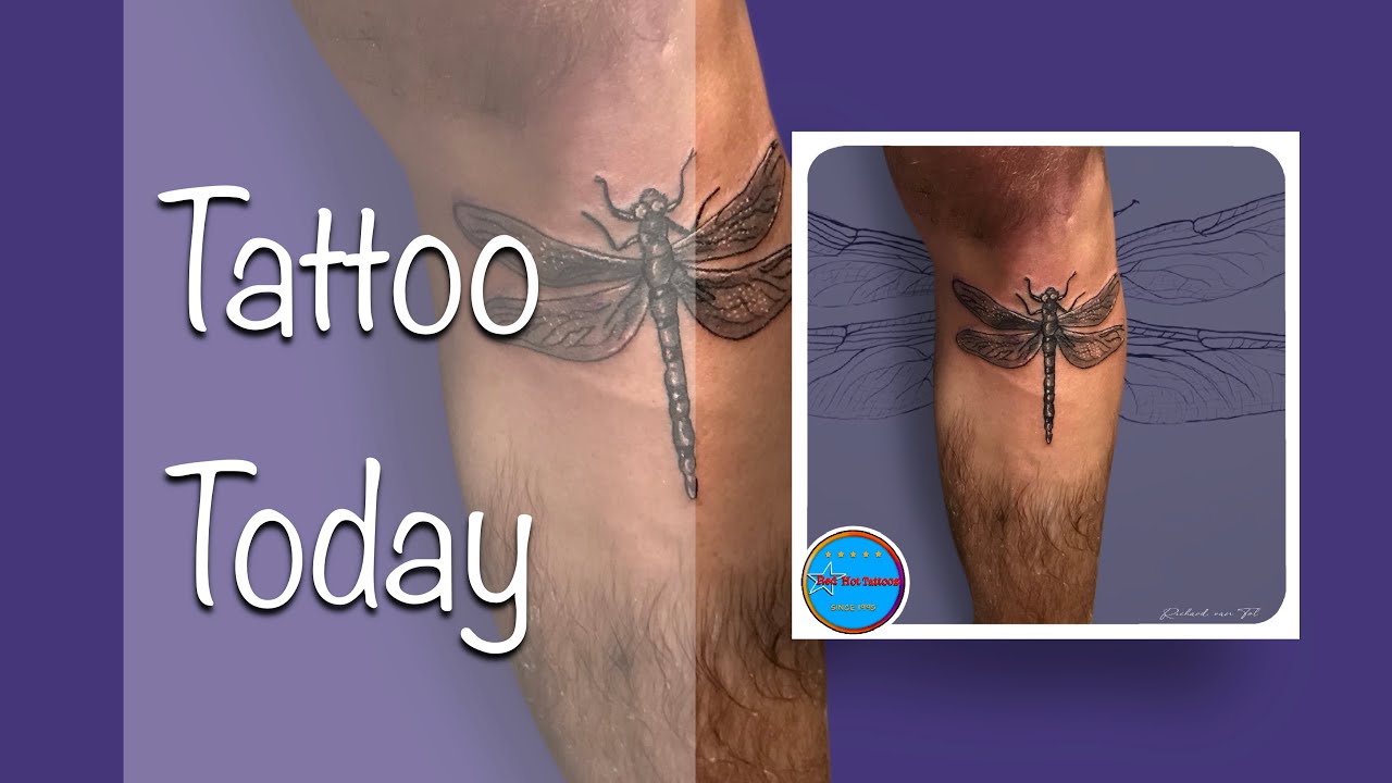 Dragonfly Tattoo Den Haag / Scheveningen, #Lofimusic - YouTube
