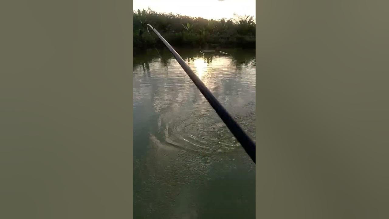 mancing sore hari jos - YouTube