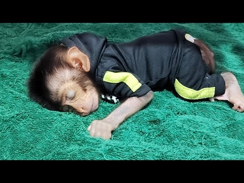 Baby No Name Sleep After Bathing - YouTube