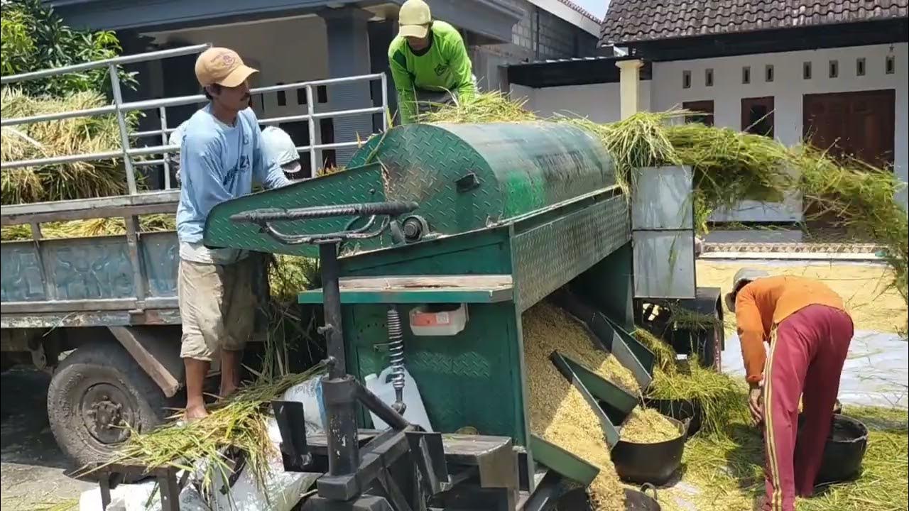 Mobil Blower Padi Keliling [] Diesel Selep Padi Keliling - YouTube