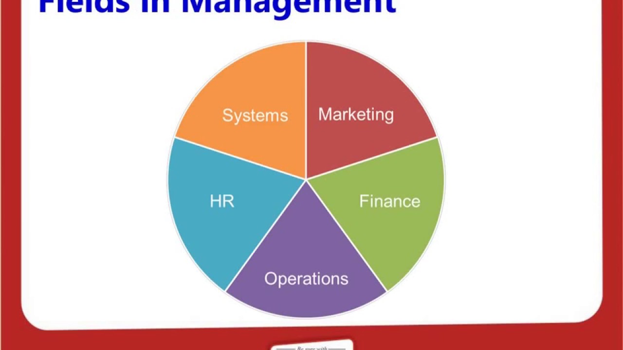 Career Options After BSc IT Vidyalankar Classes YouTube