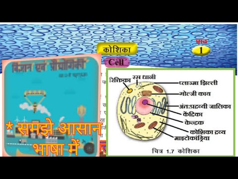 Class 8 science chapter 1 questions answers | class 8 chapter 1 kosika ...