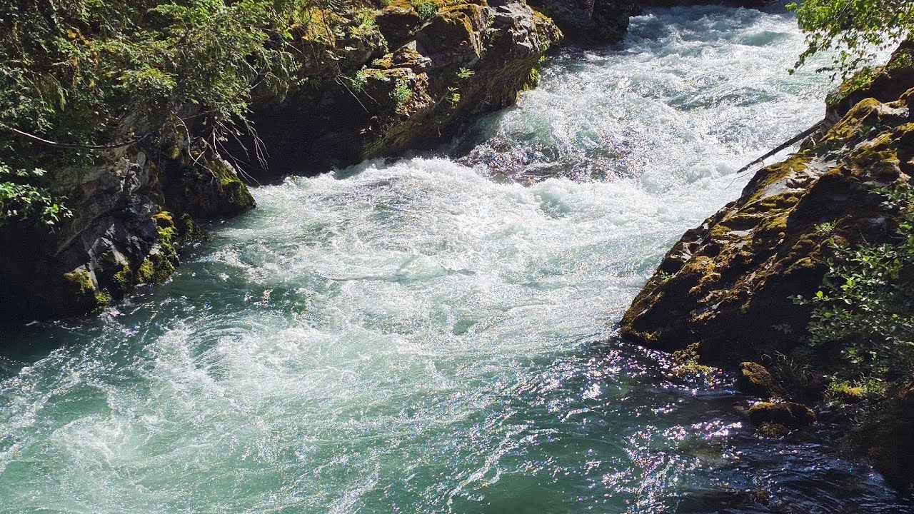 🌲 Where the River Disappears Into the Forest: Ranger Hole Falls - YouTube