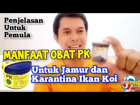 MANFAAT LARUTAN PK UNTUK IKAN KOI - YouTube
