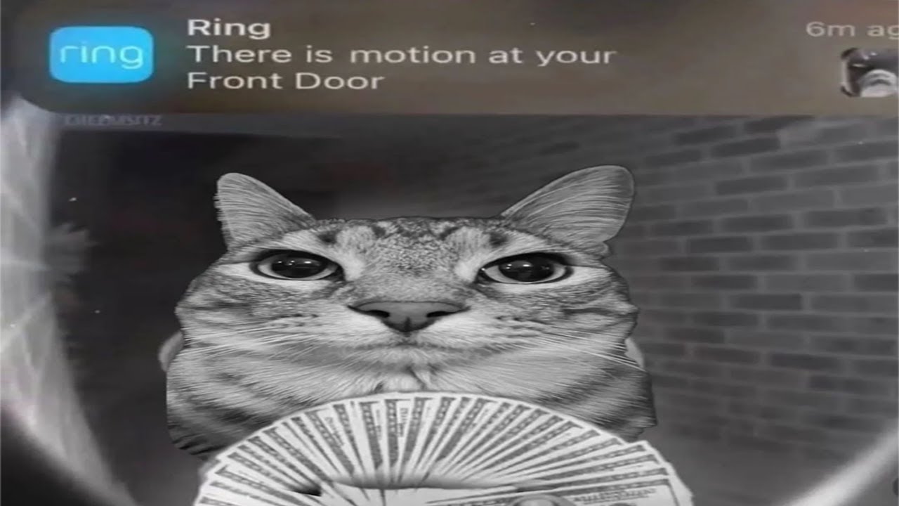 memes i watch while lowkey plotting world domination - YouTube