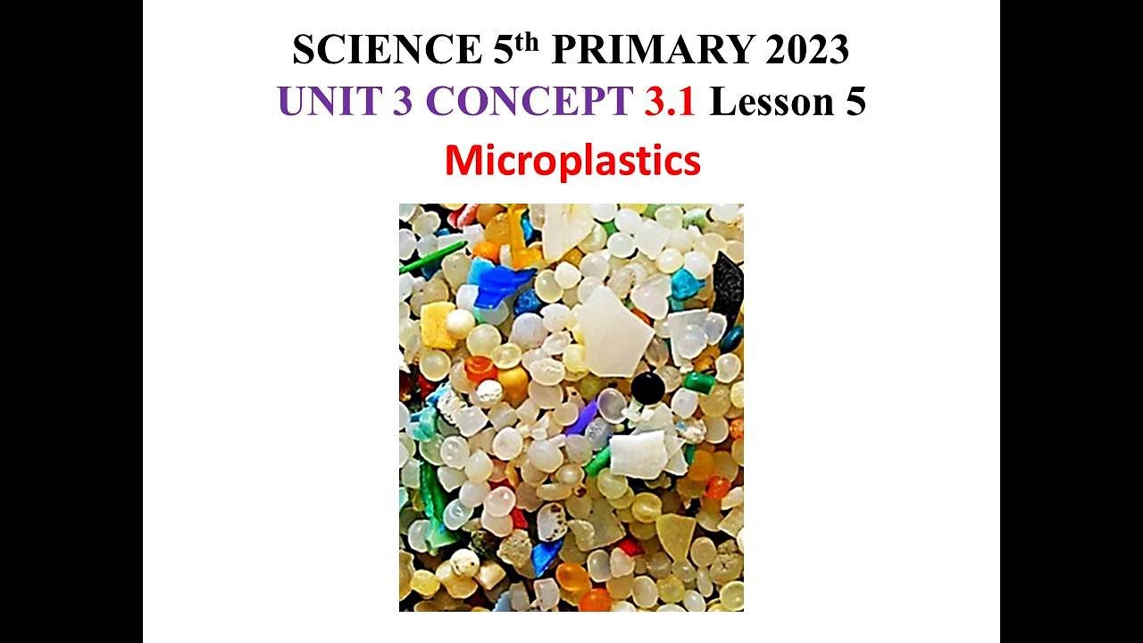 SCIENCE Grade 5 Second Term 2023 UNIT 3 CONCEPT 3.1 Lesson 5 ...