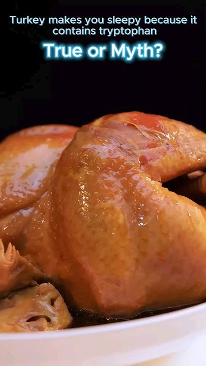Turkey Makes You Sleepy Because it Contains Tryptophan #mythbusters # ...