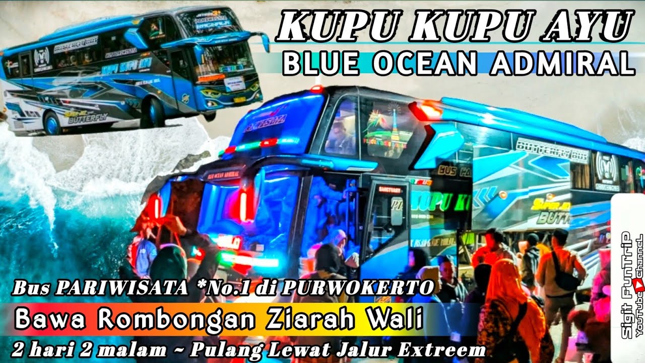 Sewa Bus PARIWISATA ⁉️ KUPU KUPU AYU - BLUE OCEAN ADMIRAL || FIRMAN ...
