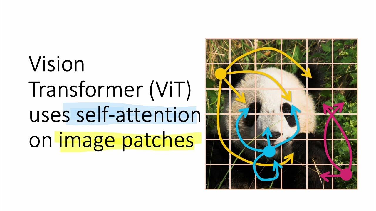 Learned Queries for Efficient Local Attention | CVPR 2022 - YouTube