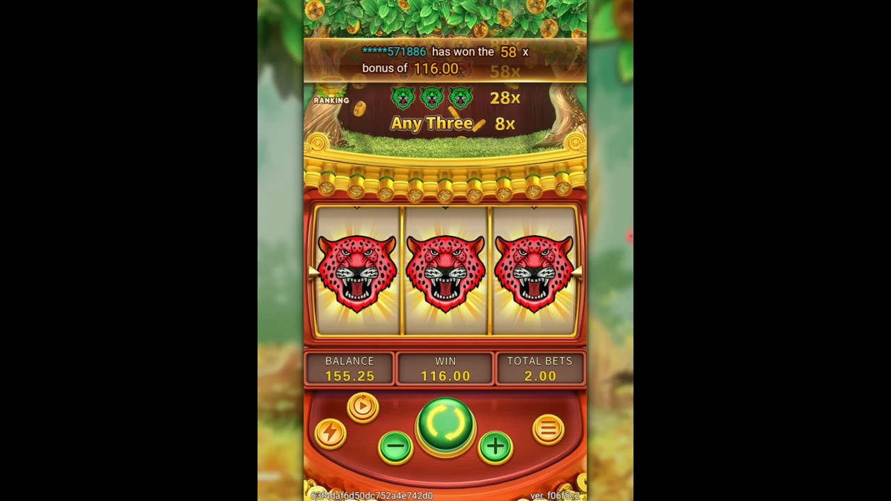 Fa Chai Golden Panther Slot Machine Game 58x Win Lucky Play - YouTube