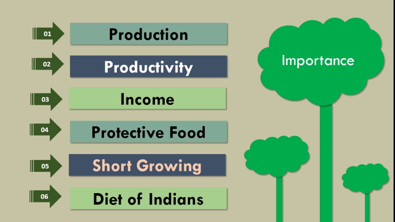 Importance of Horticultural Crops - YouTube